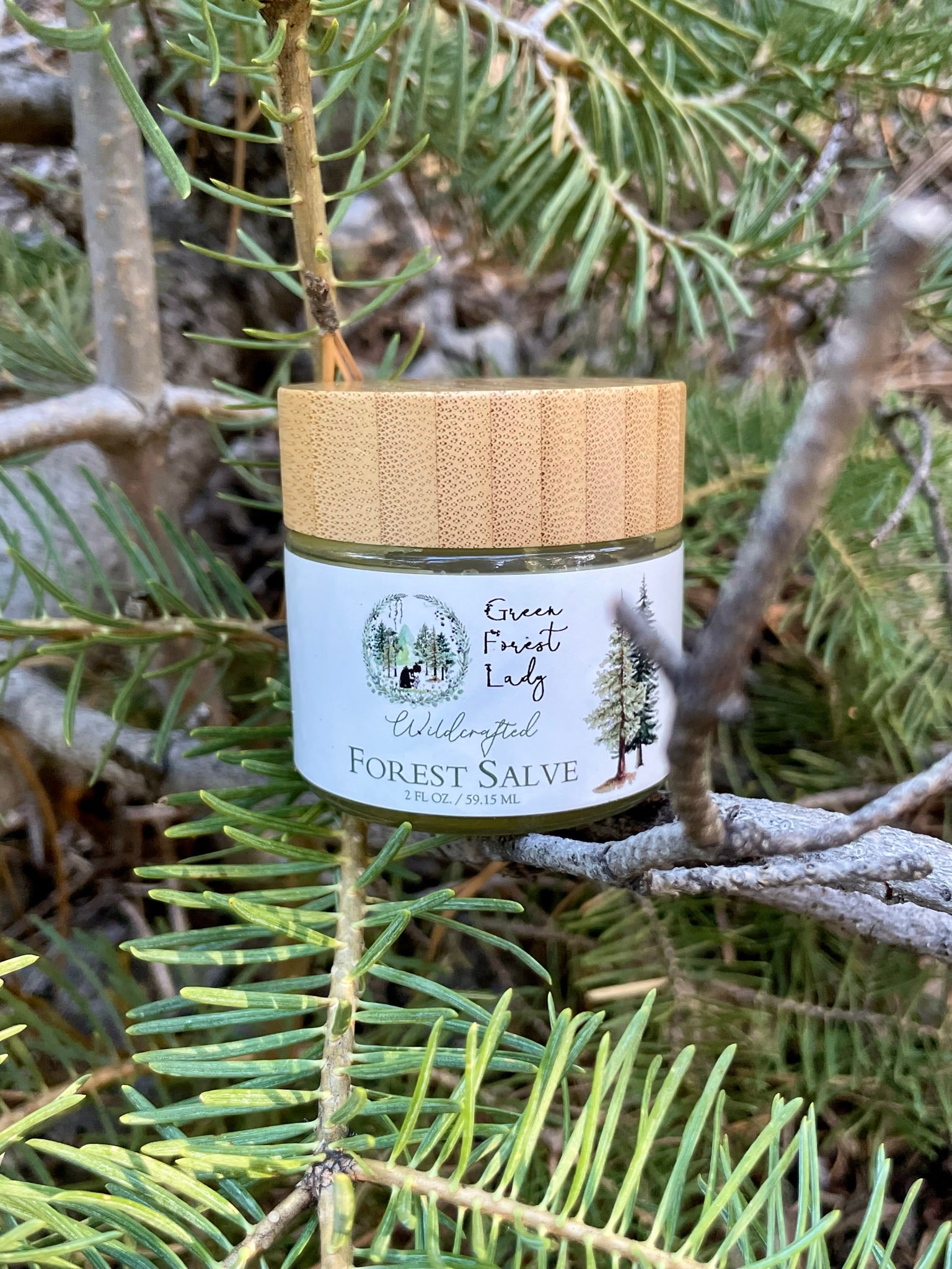 Forest Salve | Wildcrafted by The Green Forest Lady